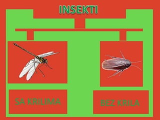 Insekti | PPTX