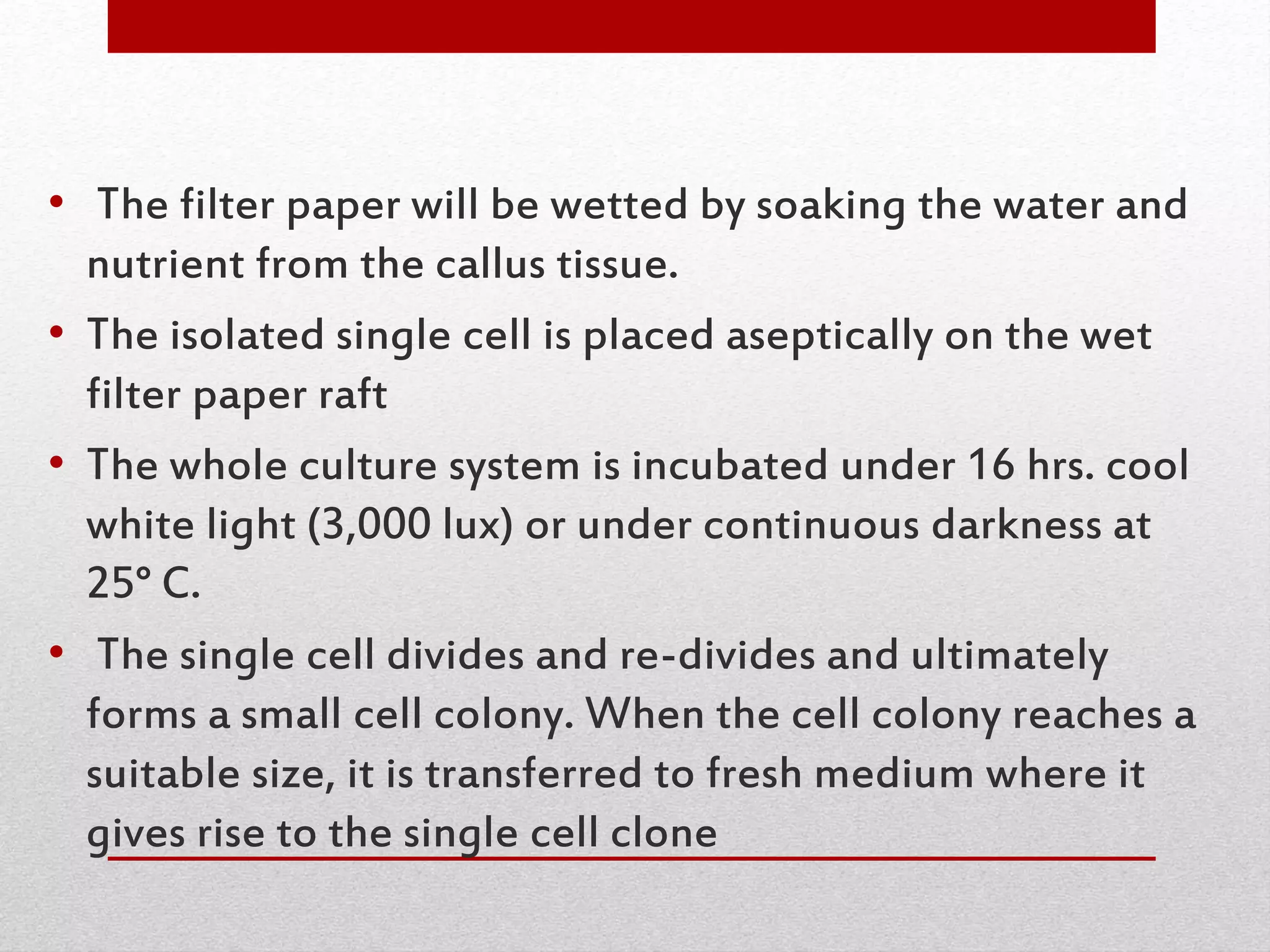 plant tissue culture / paper raft nurse technique | PPTX