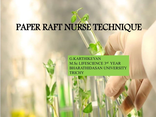 plant tissue culture / paper raft nurse technique | PPTX | Biological ...