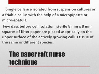 plant tissue culture / paper raft nurse technique | PPTX