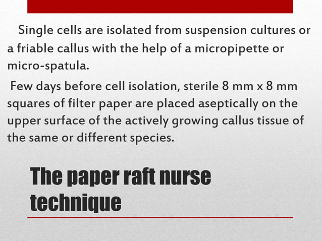 plant tissue culture / paper raft nurse technique | PPTX | Biological ...