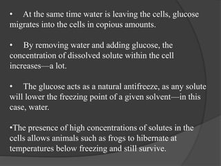 Temperature Effect on cell | PPTX