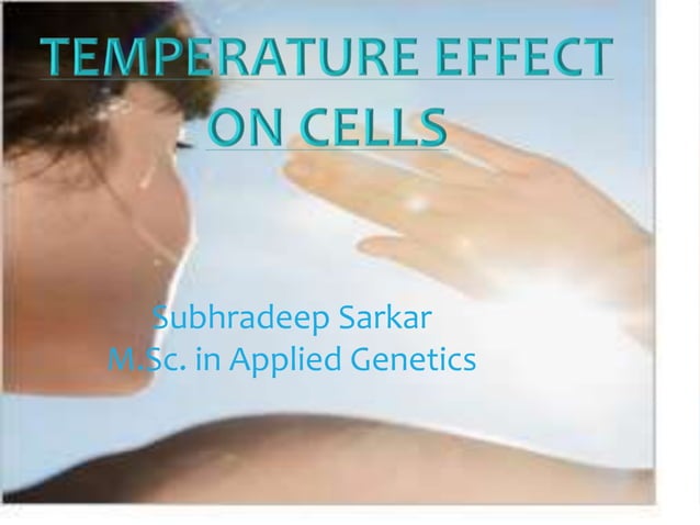 Temperature Effect on cell | PPT