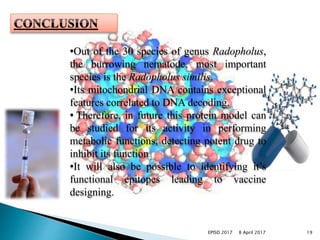 IN-SILICO CHARACTERISATION OF PROTEIN CODED BY CYT-B GENE OF Radopholus ...