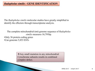 IN-SILICO CHARACTERISATION OF PROTEIN CODED BY CYT-B GENE OF Radopholus ...