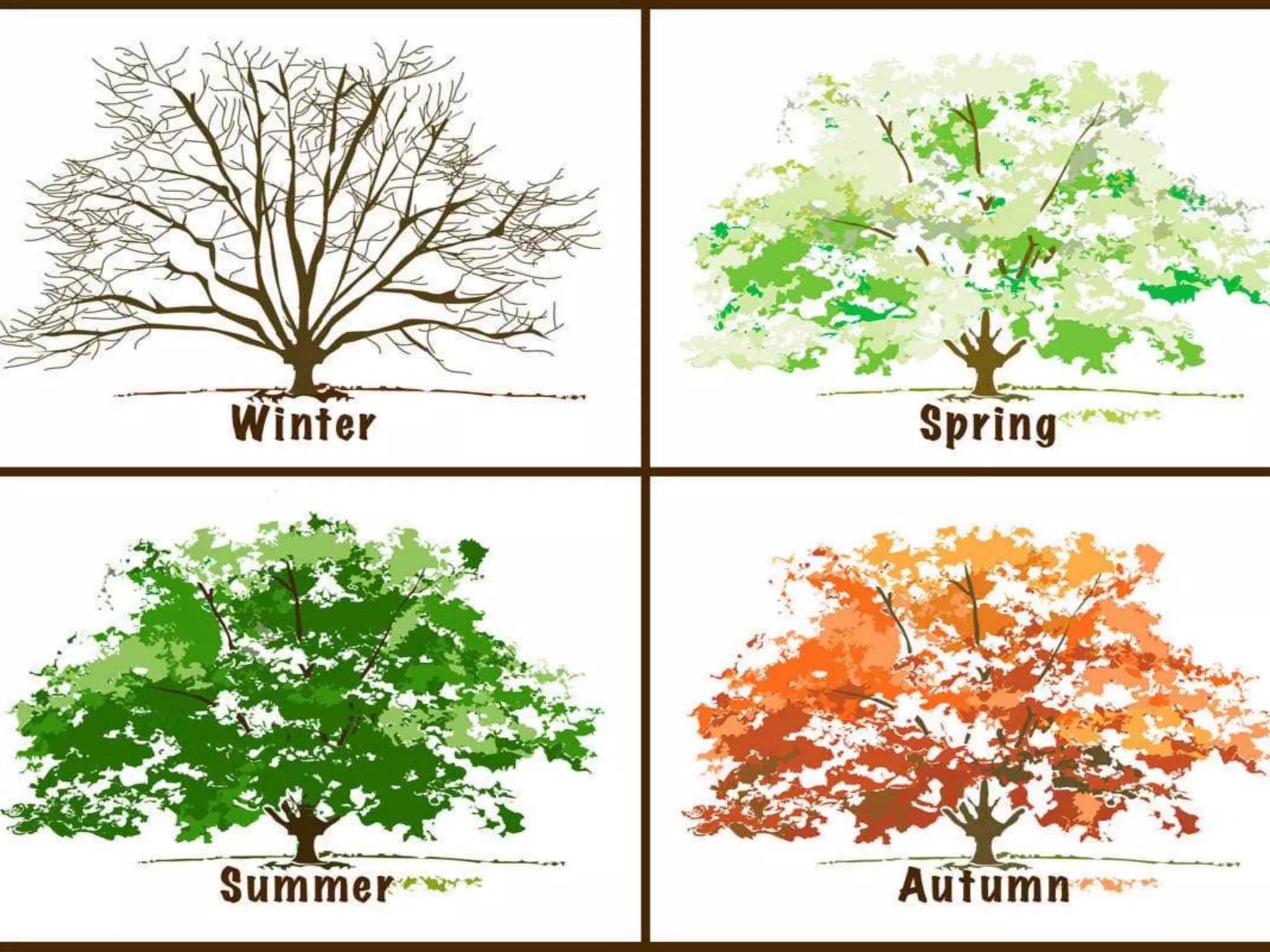Changes in seasons | PPTX