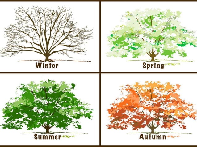 Changes in seasons | PPTX | Weather | Science