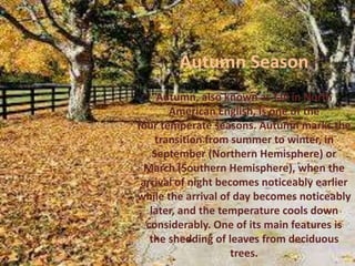 Changes in seasons | PPTX