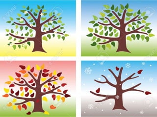 Changes in seasons | PPTX