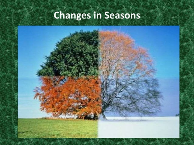 Changes in seasons | PPT