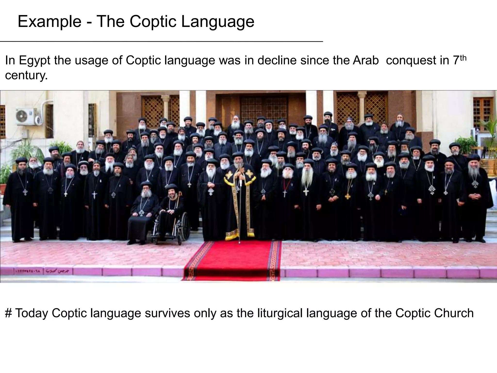 Language Shift and Language Maintenance | PPTX