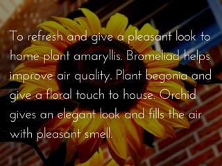 Uses of Flowers | PPTX
