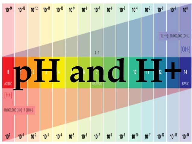 pH and [H+] | PPT