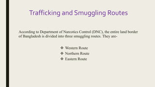 Cross Border Trafficking and Smuggling: A Graphical Presentation | PPTX