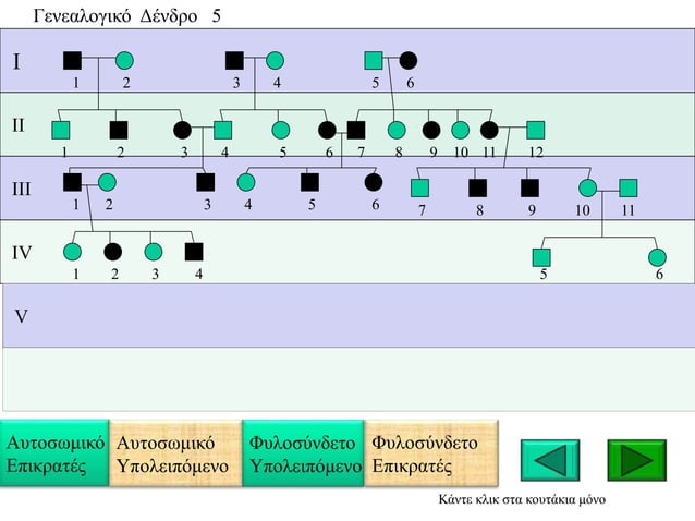 Γενεαλογικα δεντρα | PPT