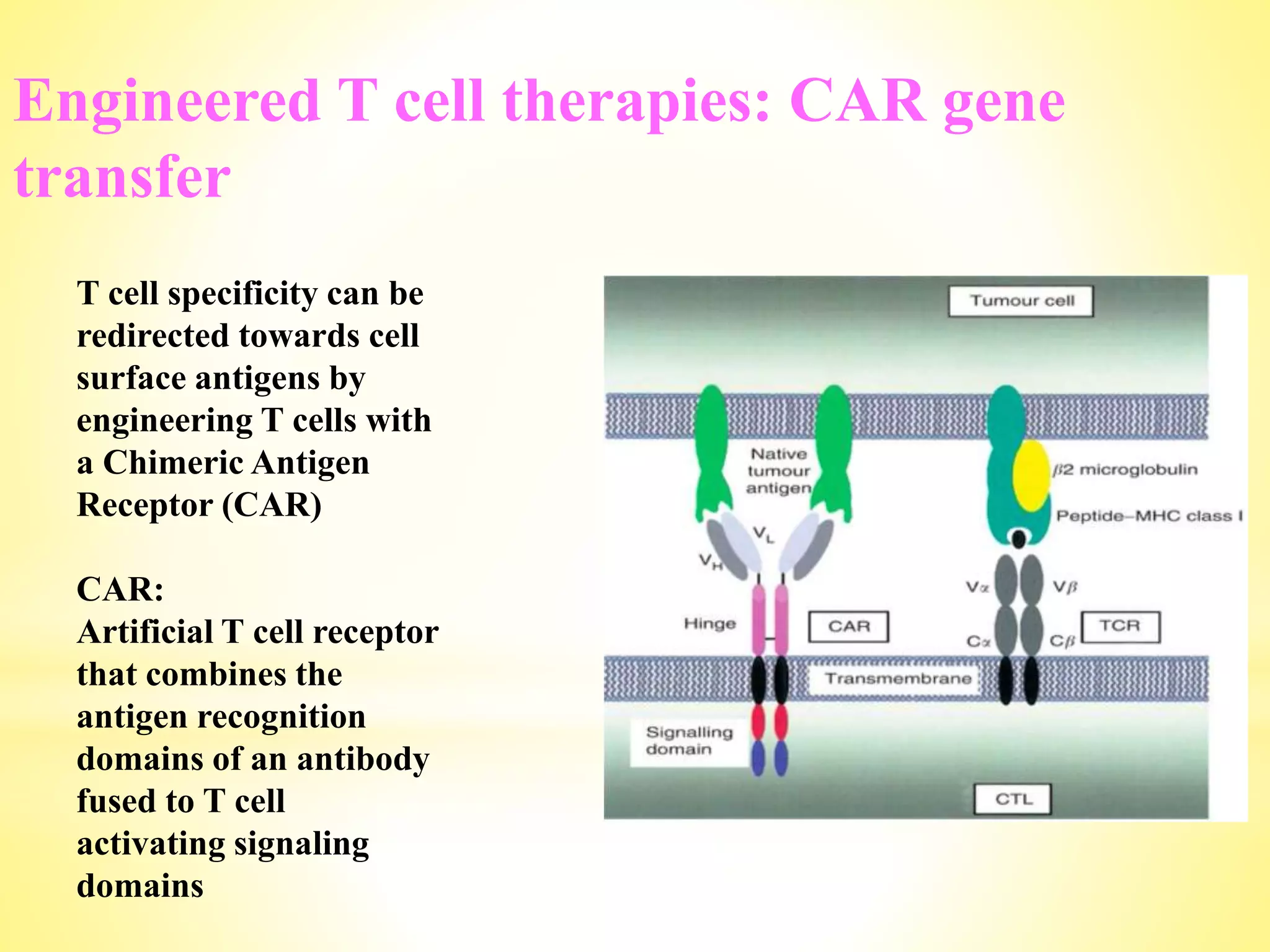 T-CELL ENGINEERING IN THERAPEUTICS | PPTX