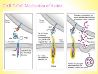 T-CELL ENGINEERING IN THERAPEUTICS | PPTX