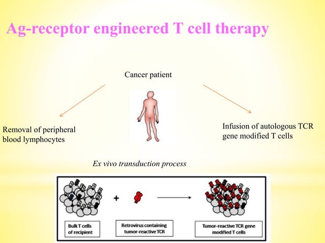 T-CELL ENGINEERING IN THERAPEUTICS | PPT