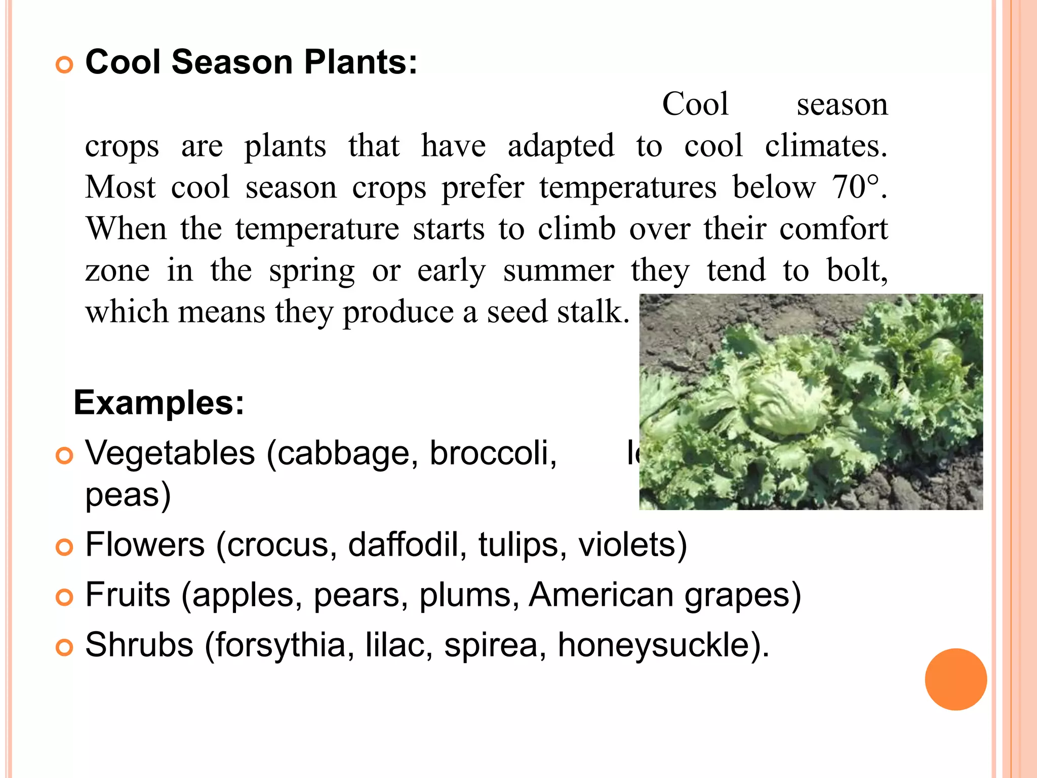 Role of Temperature for Horticulture Plant Production | PPTX