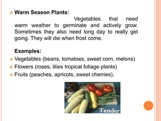 Role of Temperature for Horticulture Plant Production | PPTX