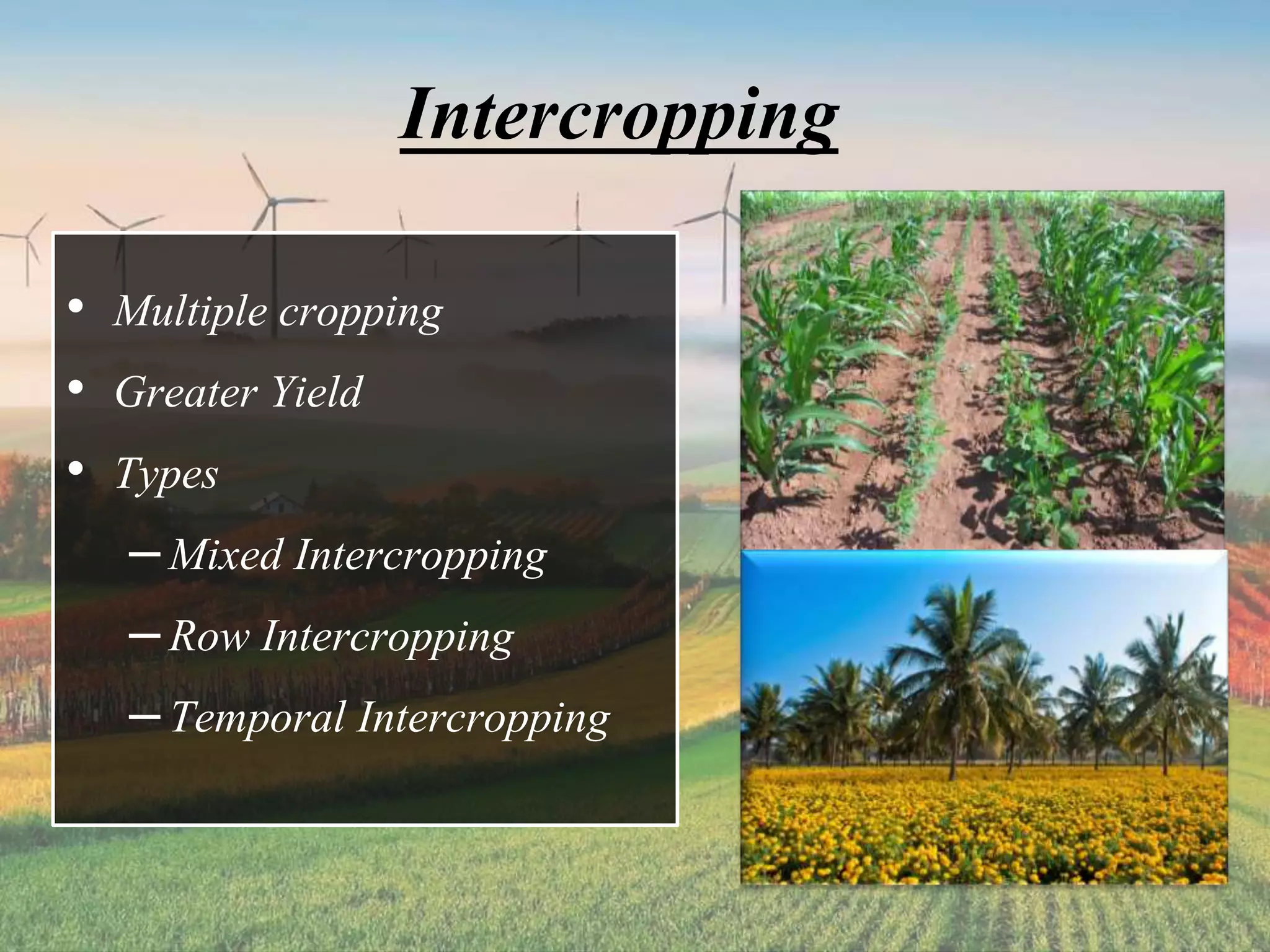 Traditional and Modern Agriculture | PPTX