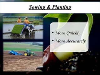 Traditional and Modern Agriculture | PPTX