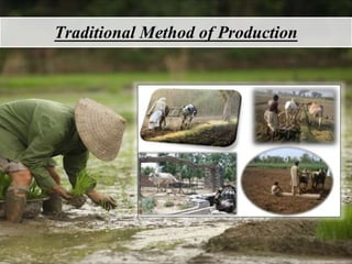 Traditional and Modern Agriculture | PPTX