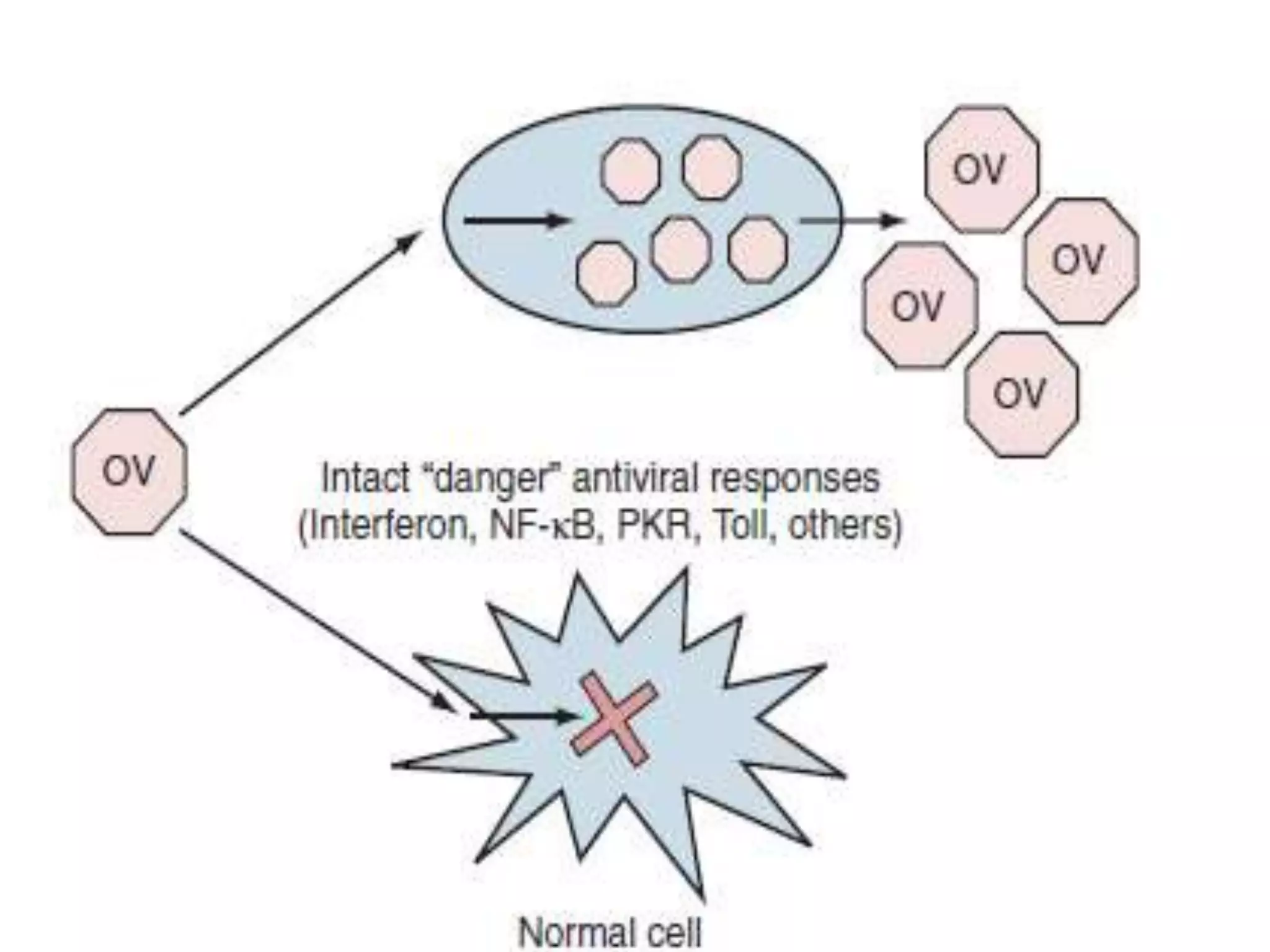 Presentation1.pptx amit, gene therapy | PPTX | Genetics | Science