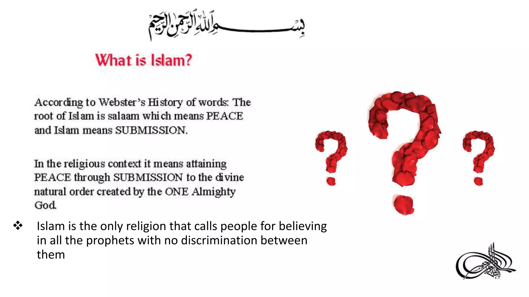 everything about Islam | PPTX | Islam | Religion & Spirituality