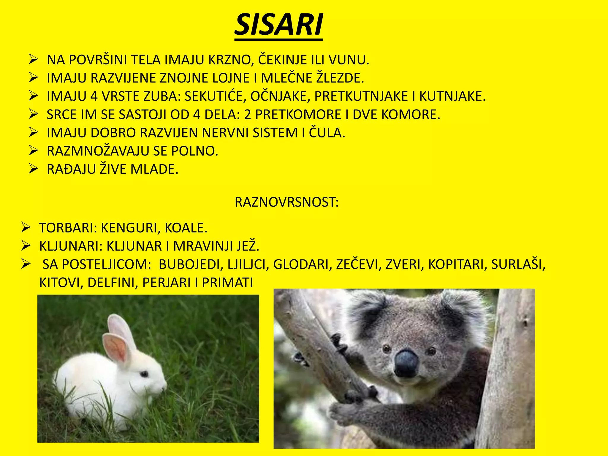 Ponavljanje- Kicmenjaci | PPTX