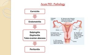 Presentation1 | PPTX