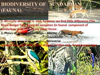 Presentation1.pptx save sundarbon | PPTX