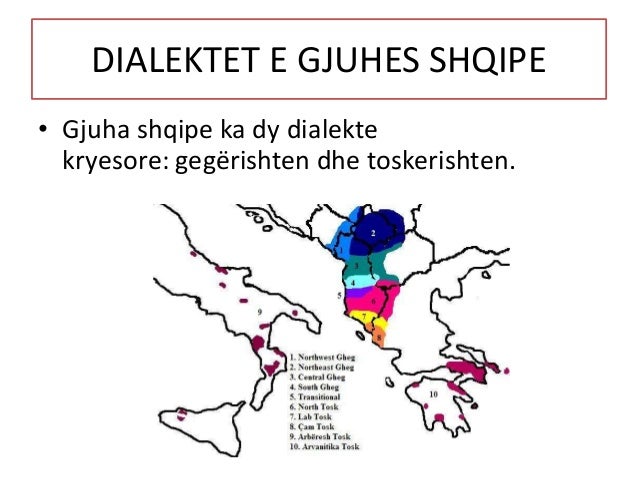 Dialektet e gjuhes shqipe dhe rendesia e tyre