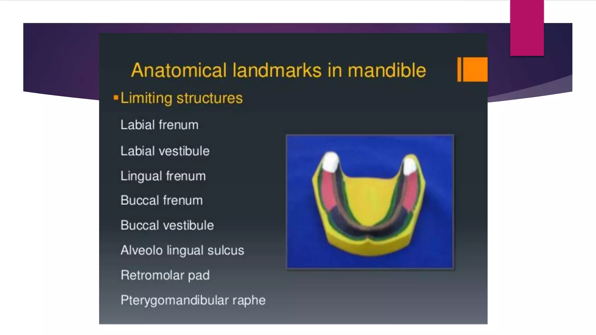 Presentation (1) of anatomical landmark of maxilla and mandible | PPTX
