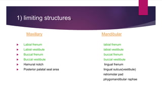 Presentation (1) of anatomical landmark of maxilla and mandible | PPTX