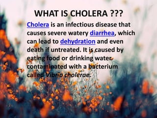 Cholera Disease | PPTX