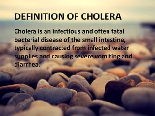 Cholera Disease | PPTX