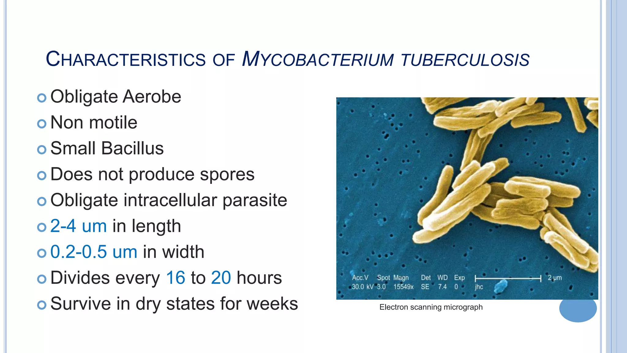 Mycobacterium tuberculosis | PPTX