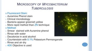 Mycobacterium tuberculosis | PPTX