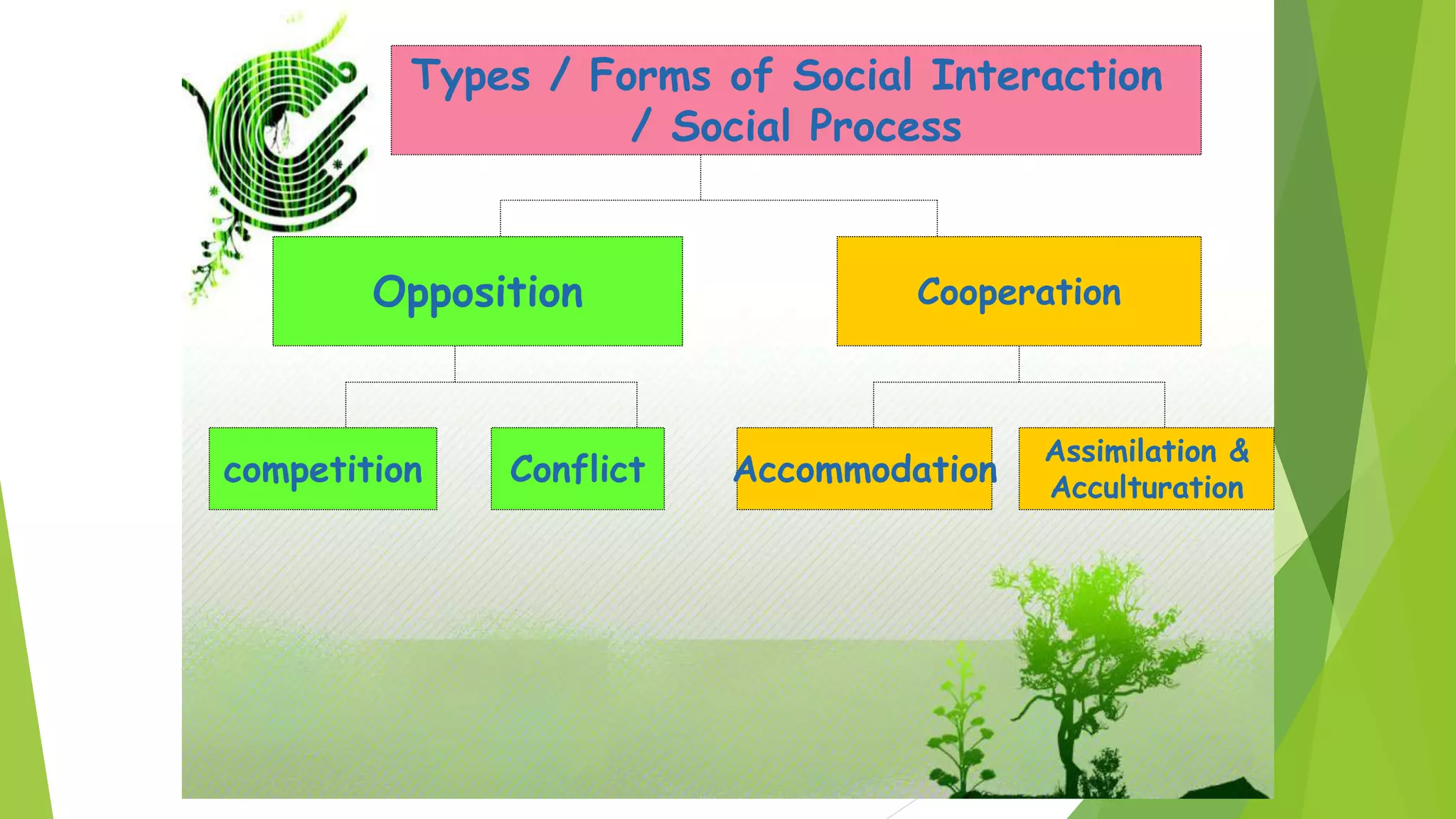 Social Interaction and social process | PPTX