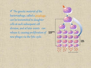 TRANSDUCTION | PPTX