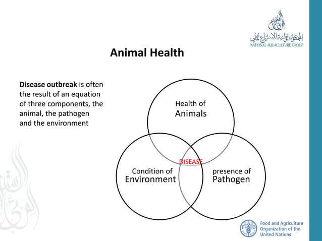 Presentation 1.8 Surveillance and animal health monitoring, early ...