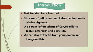 Betalains | PPTX | Chemistry | Science