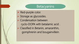 Betalains | PPTX | Chemistry | Science