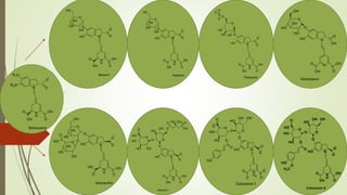 Betalains | PPTX | Chemistry | Science