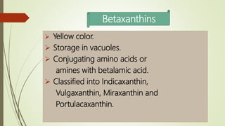 Betalains | PPTX | Chemistry | Science