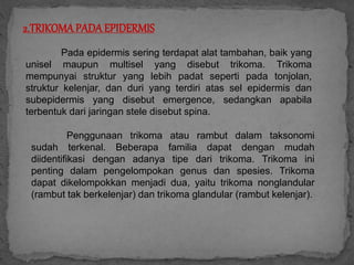 Presentation1 | PPTX