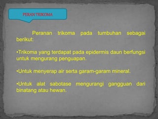 Presentation1 | PPTX