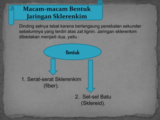 Presentation1 | PPTX