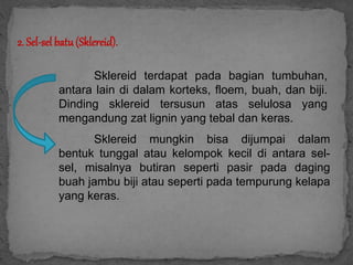 Presentation1 | PPTX